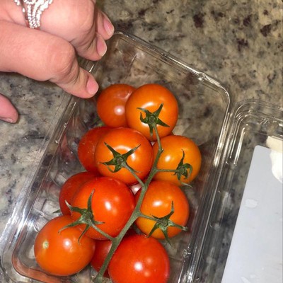 Cocktail Tomatoes - 16oz - Good & Gather™ (packaging May Vary) : Target