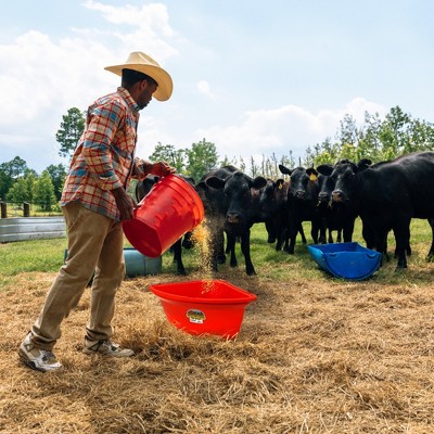 Little Giant 26 Quart Plastic Hanging Corner Livestock Animal Feeder ...