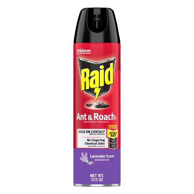 Raid Max Ant And Roach Killer Bug Spray - 14.5oz : Target