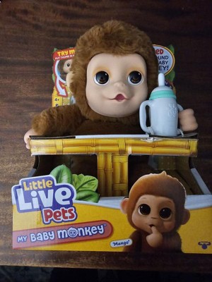 Little Live Pets My Baby Monkey - Mango : Target