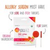 Lolleez Children's Organic Throat Soothing Pops - Watermelon ...