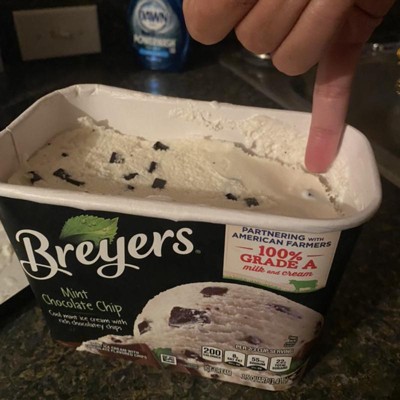 Mint Chocolate Chip Ice Cream - 48oz - Breyers : Target
