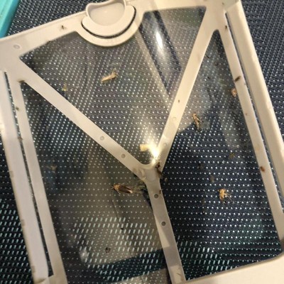 Zevo Flying Insect Trap Refill Cartridges - 2pk : Target
