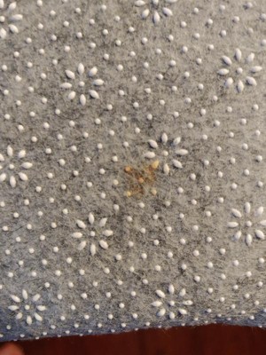 Nourison Rug-loc Dual Sided Grey Rug Pad : Target