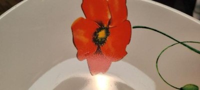 16pc Porcelain Poppy Dinnerware Set - Tabletops Gallery : Target