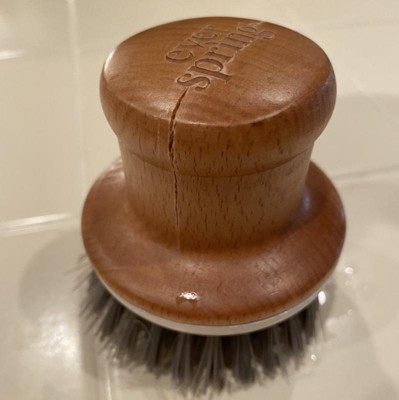 Palm Brush - Everspring™ : Target