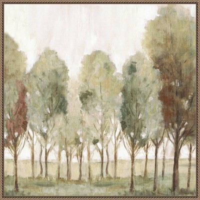 30" X 41" Tender Sprout Ii Eucalyptus By Eva Watts Wood Framed Wall Art ...