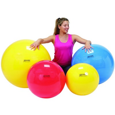 PhysioGymnic Inflatable Exercise Ball : Target