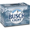 Busch Light - 30pk/12 Fl Oz Cans : Target