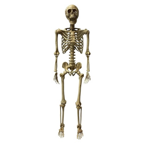 Studio Halloween, Llc Deluxe 5 Foot Poseable Skeleton Halloween ...