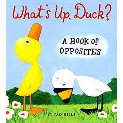 Duck And Goose, Here Comes The Easter Bunny (board Book) By Tad Hills ...