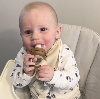 Moss And Fawn Silicone Forage Feeder Fern : Target