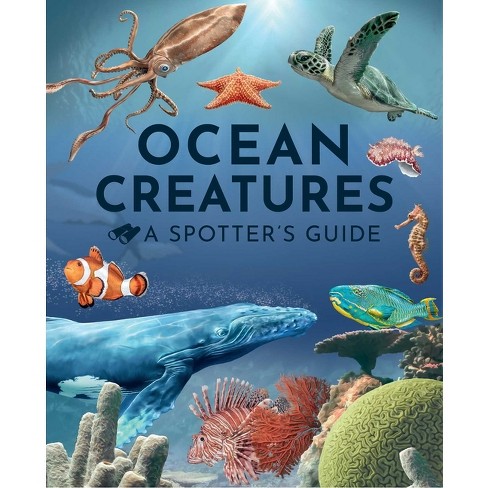 Ocean Creatures - (escape Book) By Sabrina Weiss (hardcover) : Target