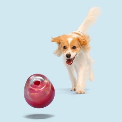 Jw Pet Tumble Teez Treat Dog Toy - Green - S : Target