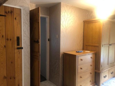 Woodland Spring Rose Gold Trail Trees Paste The Wall Wallpaper : Target