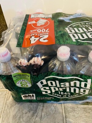 Poland Spring Brand 100% Natural Spring Water - 12pk/12 Fl Oz Bottles ...