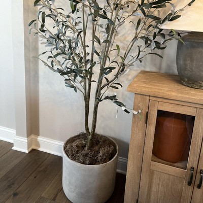 Concrete Planter Pots - Project 62™ : Target