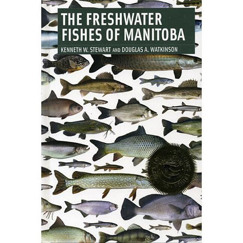 Freshwater Fishes Of Manitoba - By Kenneth Stewart & Douglas Watkinson ...