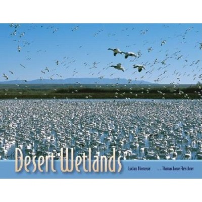 Desert Wetlands - by Thomas Lowe Fleischner (Hardcover) : Target