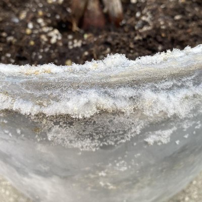 Concrete Planter Pots - Project 62™ : Target