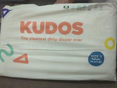Kudos Chlorine Free Cotton-lined Disposable Diapers - Size 4 - 54ct ...