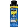 Raid Flying Insect Killer Outdoor Fresh Scent Aerosol - 18oz : Target