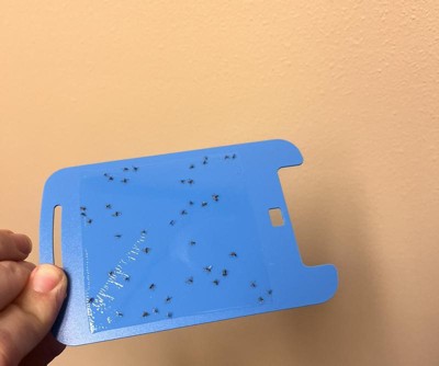 Stem Flying Insect Light Fly Trap Starter Kit - 1 Unit + 1 Refill : Target