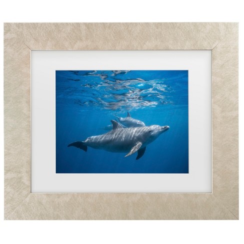Trademark Fine Art - Barathieu Gabriel Pod Of Dolphin Matted Framed Art ...