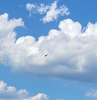 Sky Viper Vector Performance Stunt Jet : Target