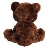 Aurora Bear 12.5" Coco Swirl Brown Stuffed Animal : Target