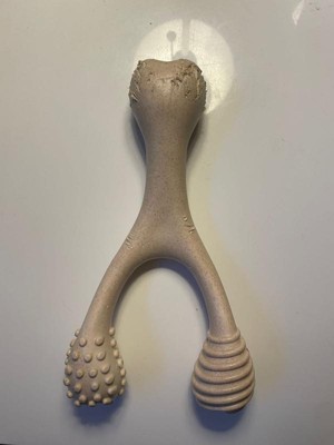 Betterbone Hard Beef Nylon Free Dog Bone Chew Toy - L : Target