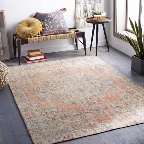 Hauteloom Yetminster Traditional Distressed Peach Rug : Target