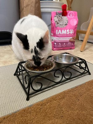 Iams Proactive Health Sensitive Skin And Digestion Turkey Flavor Dry ...