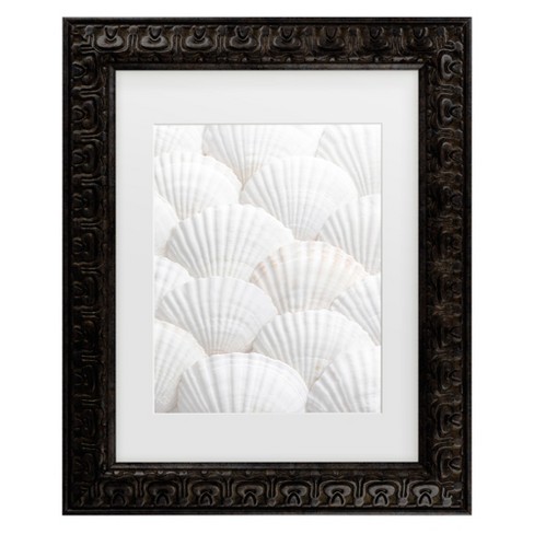 Pictufy Studio Shells 3 Matted Framed Art : Target