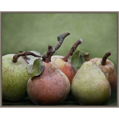 28" X 23" Comice Pears I By Rachel Perry Framed Canvas Wall Art Print ...