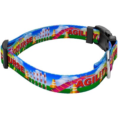 Country Brook Petz Deluxe Agility Collar And Leash Limited Edition (1/2 ...