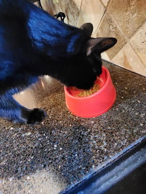 Boat To Bowl Wild Cod Fish And Haddock Fish Seafood Flavor Recipe Adult ...