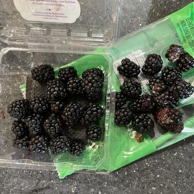 Blackberries - 6oz : Target