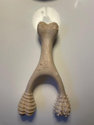 Betterbone Hard Beef Nylon Free Dog Bone Chew Toy - L : Target
