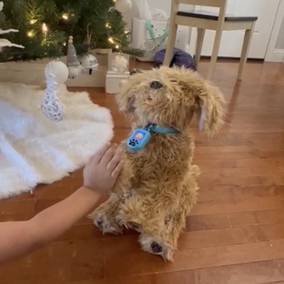 Skyrocket Moji The Lovable Labradoodle : Target