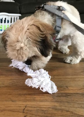 Bundle Puppy Rubber & Rope Dog Toy Set - 2pc - Boots & Barkley™ : Target