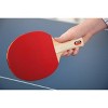 Joola Family Table Tennis Set With Carrying Case : Target