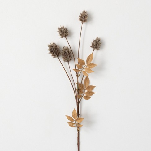Brown Stem Texture