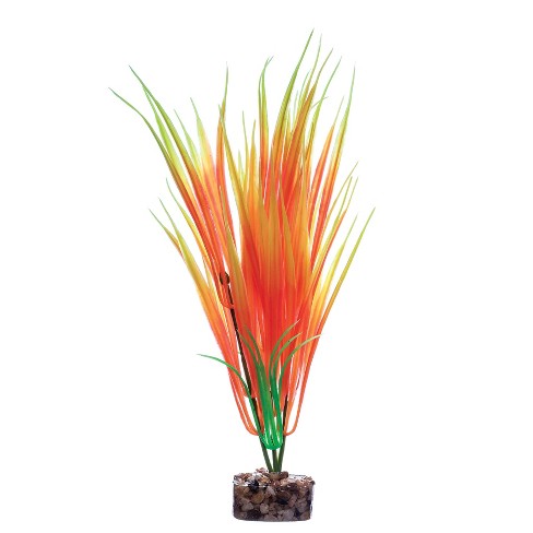 Glofish Orange And Yellow Medium Fluorescent Under Blue Led Light Decor ...