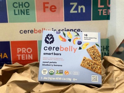 Cerebelly Organic Blueberry Banana Sweet Potato Smart Snack Bars - 4 ...