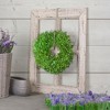 Northlight Green Foliage Artificial Spring Wreath, 10-inch : Target