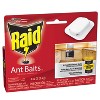 Raid Ant Baits - 0.12oz/4ct : Target