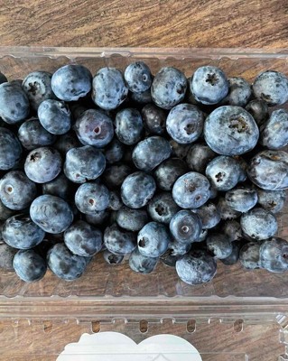 Organic Blueberries - 1pt : Target