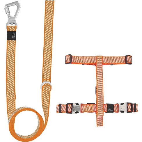 Can You Put 2 Dogs On One Zip Line Leash
