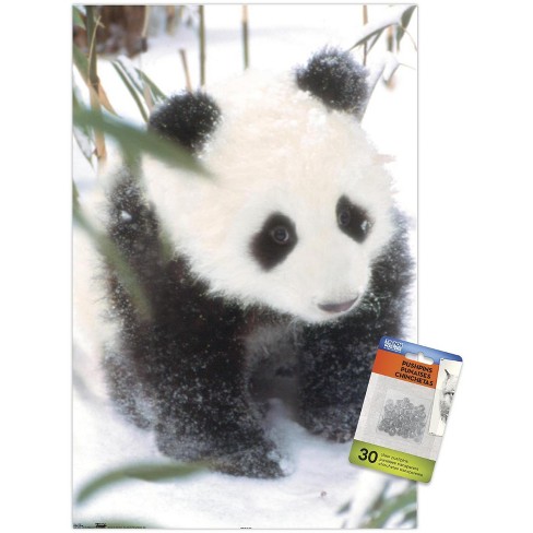 Trends International Animals - Panda In The Snow Unframed Wall Poster ...